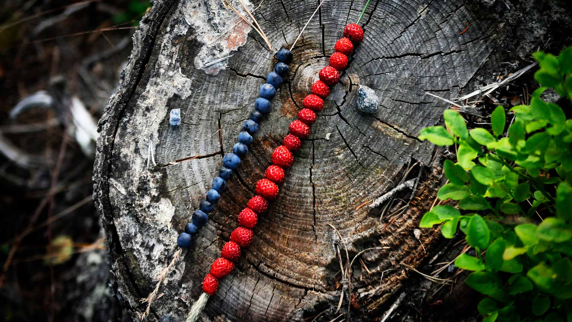 Read & Order brochures - Visit Raseborg