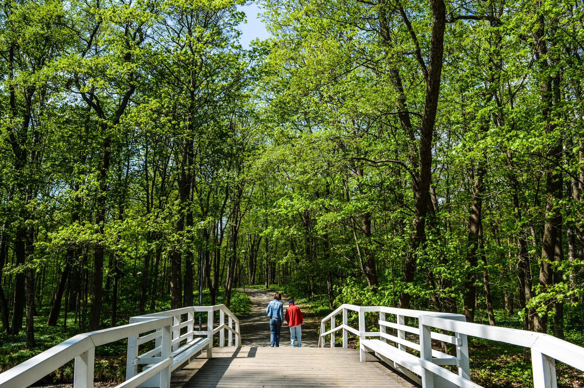 Accessibility in Raseborg - Visit Raseborg