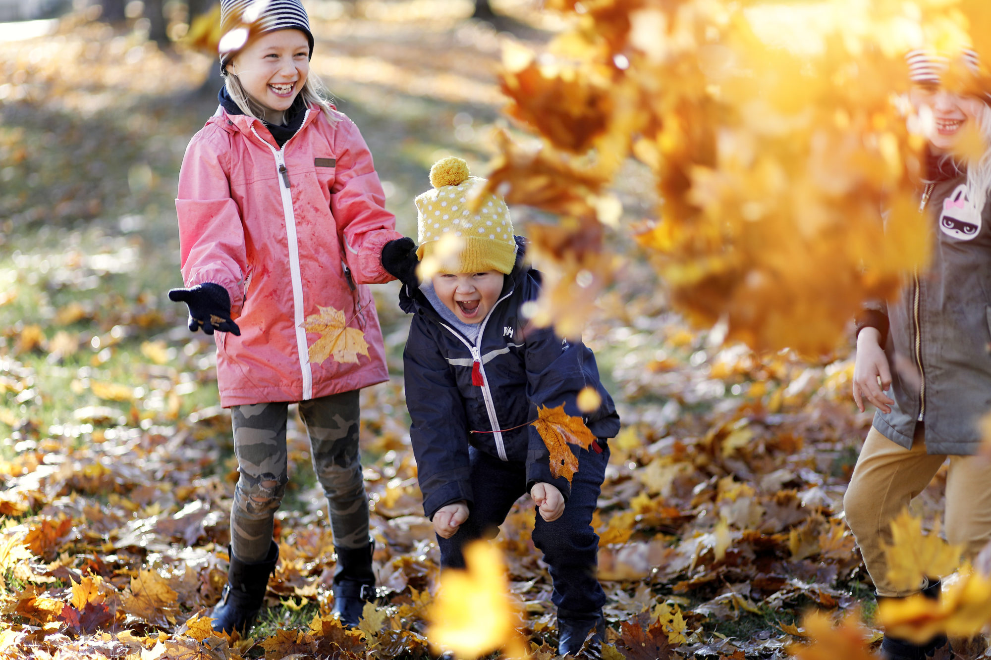 3 reasons to visit Raseborg during autumn holidays - Visit Raseborg